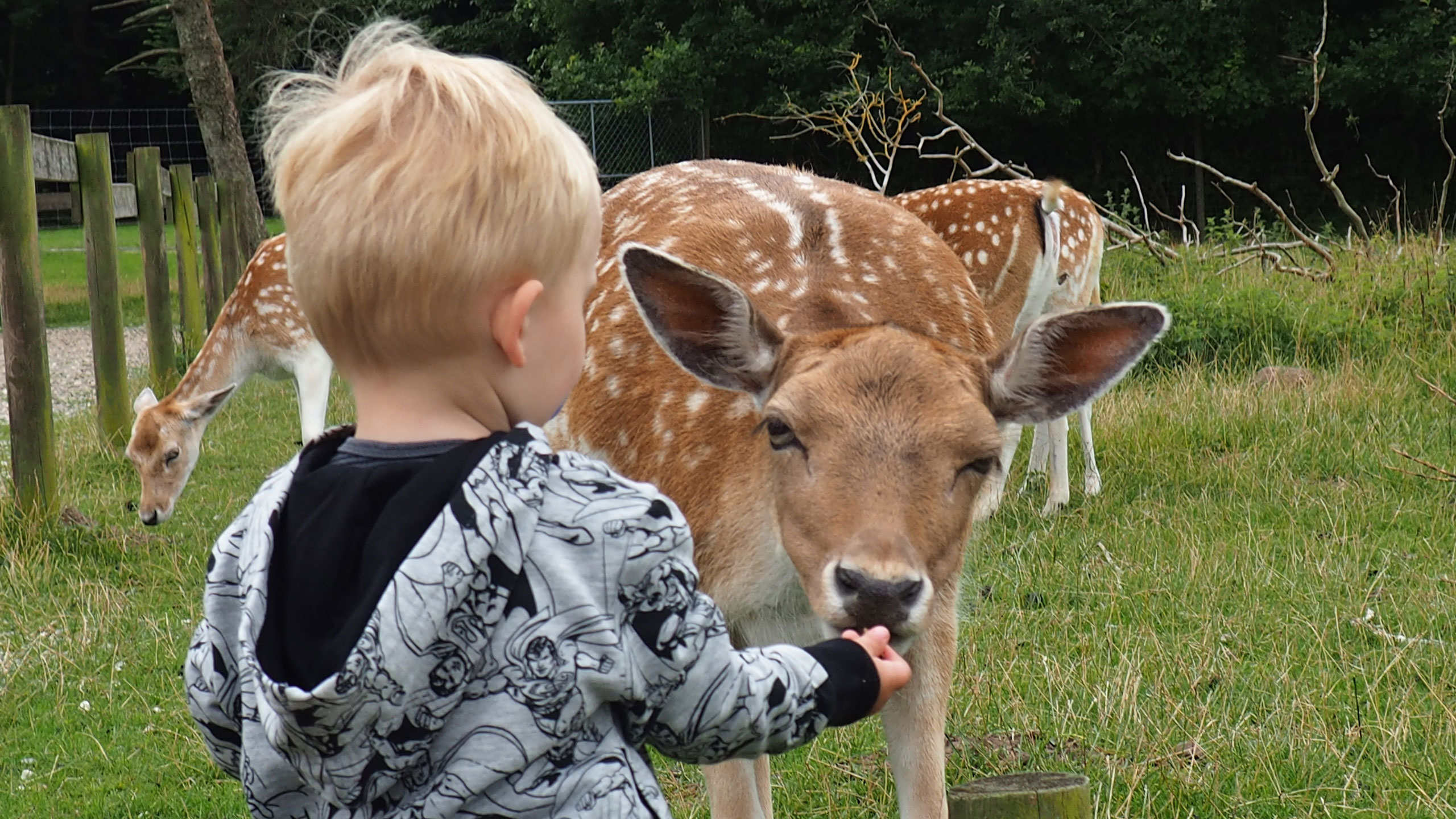 Priser - Skandinavisk Dyrepark