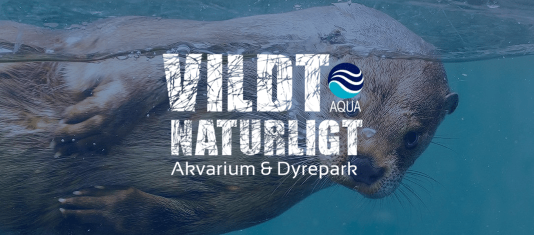 AQUA Akvarium & Dyrepark - Skandinavisk Dyrepark