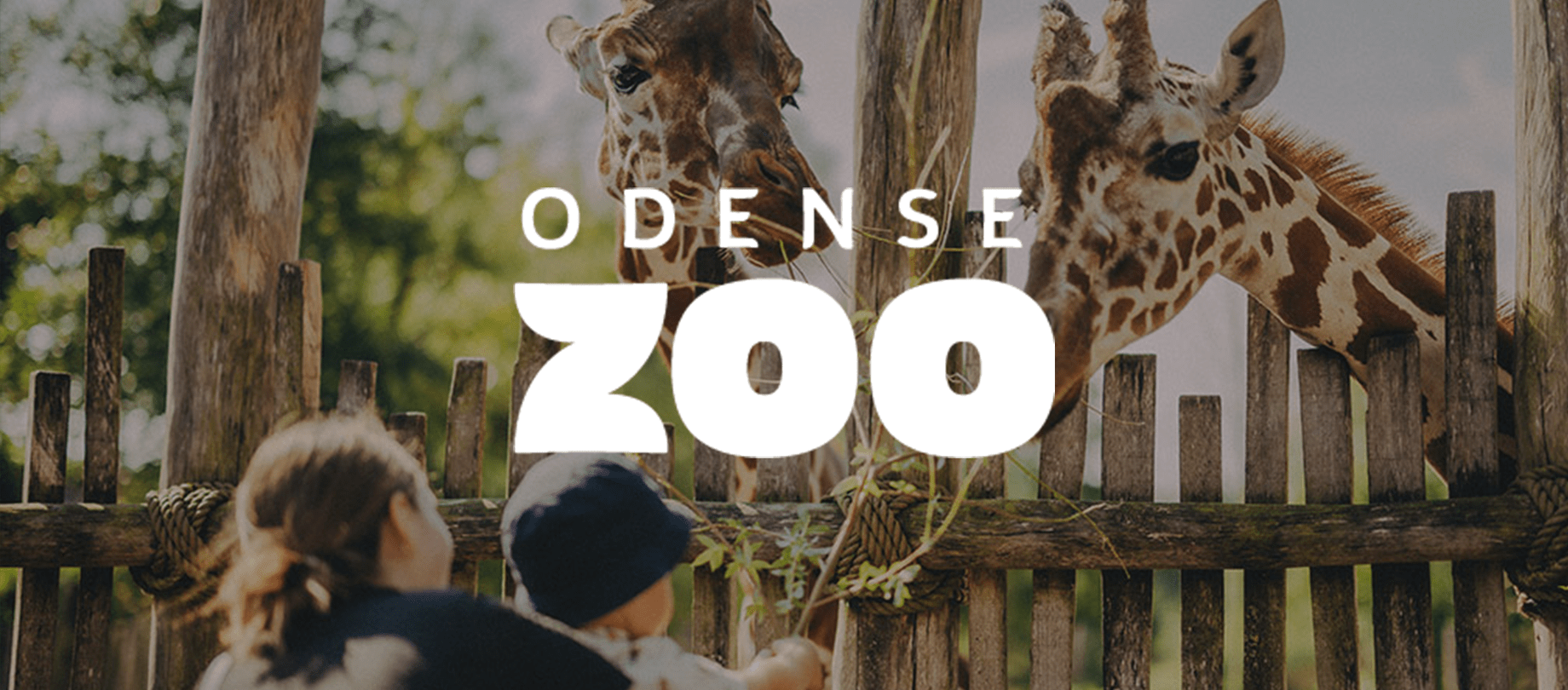 Odense Zoo - Skandinavisk Dyrepark